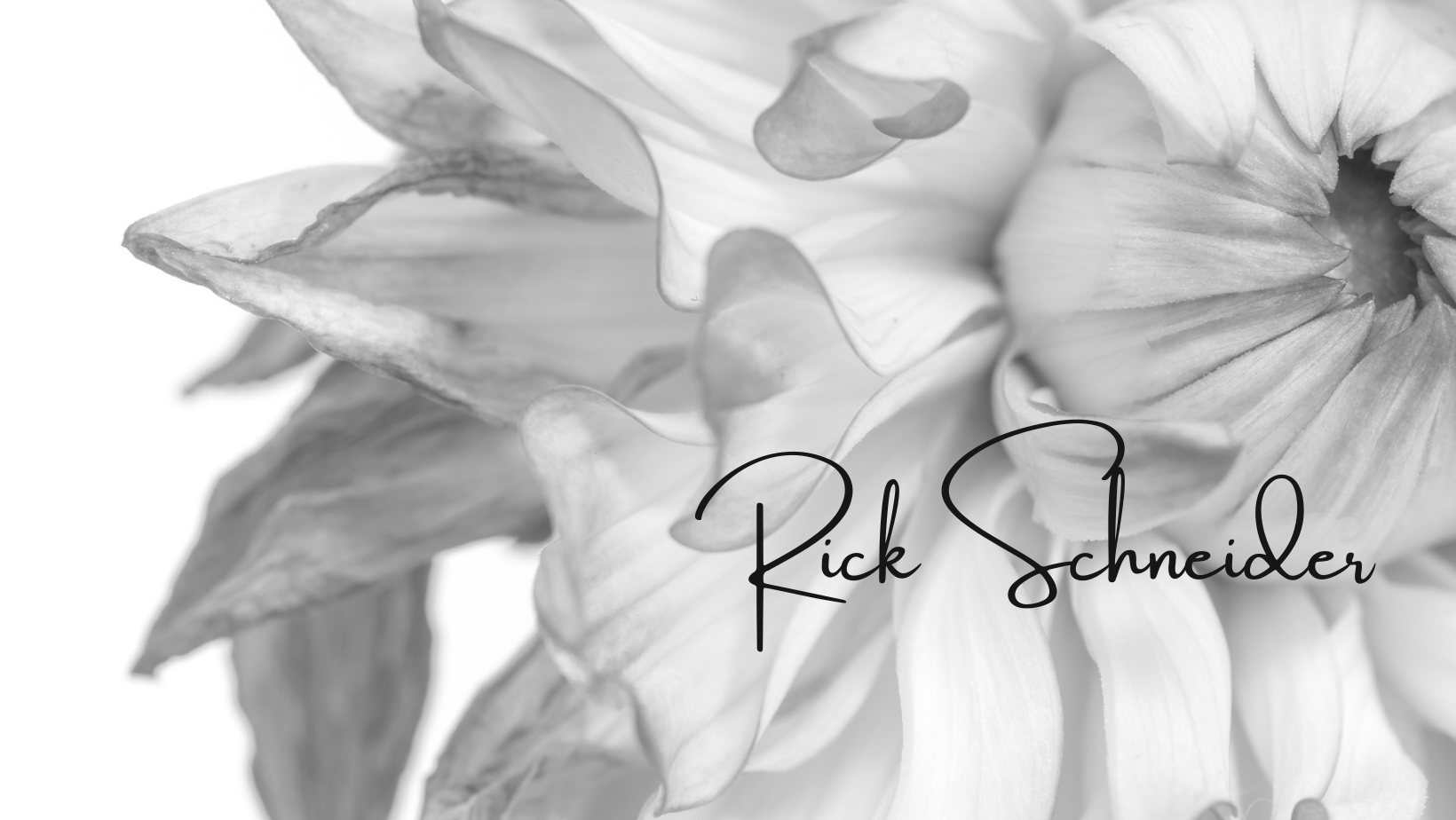 Rick Schneider Author